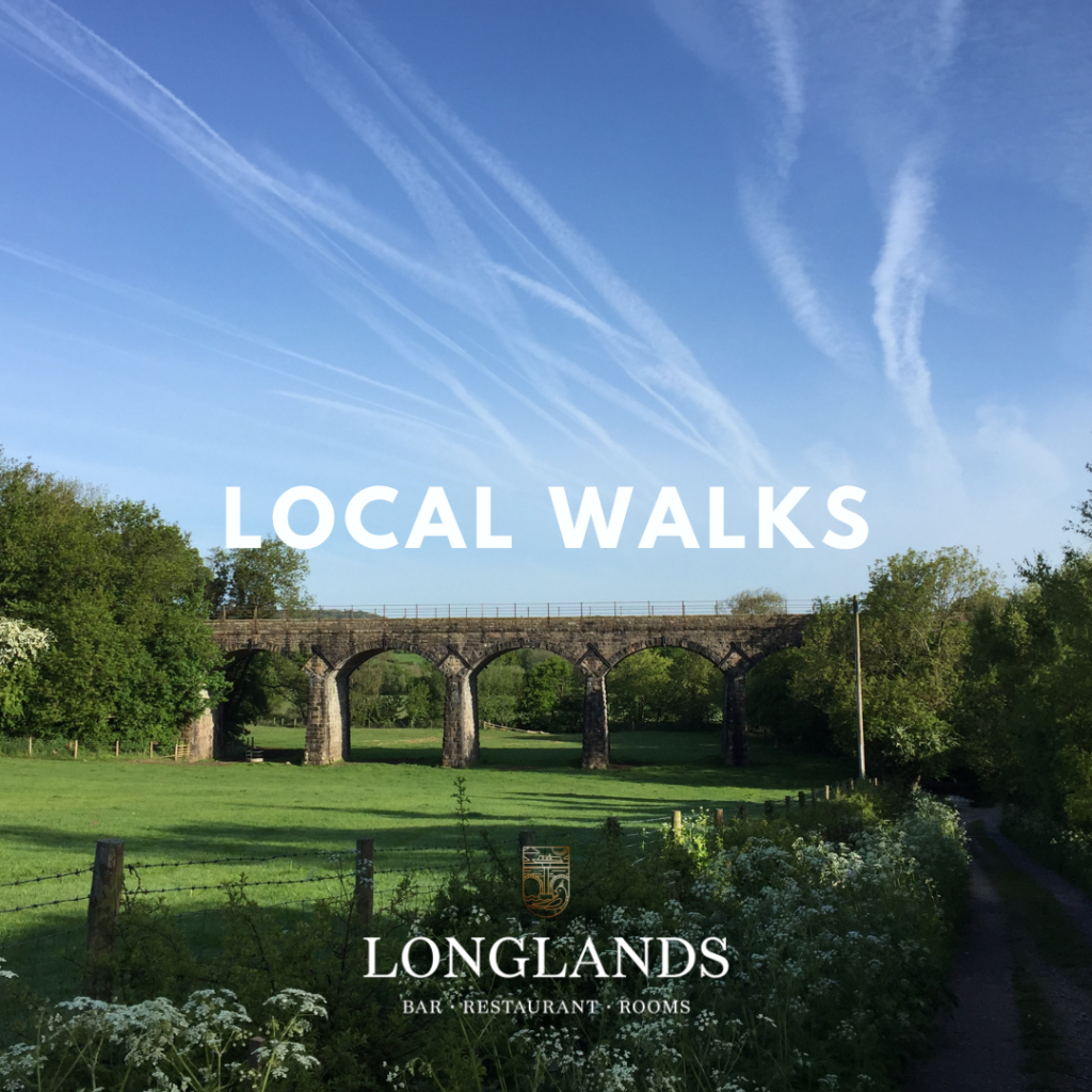 Accommodation - Longlands